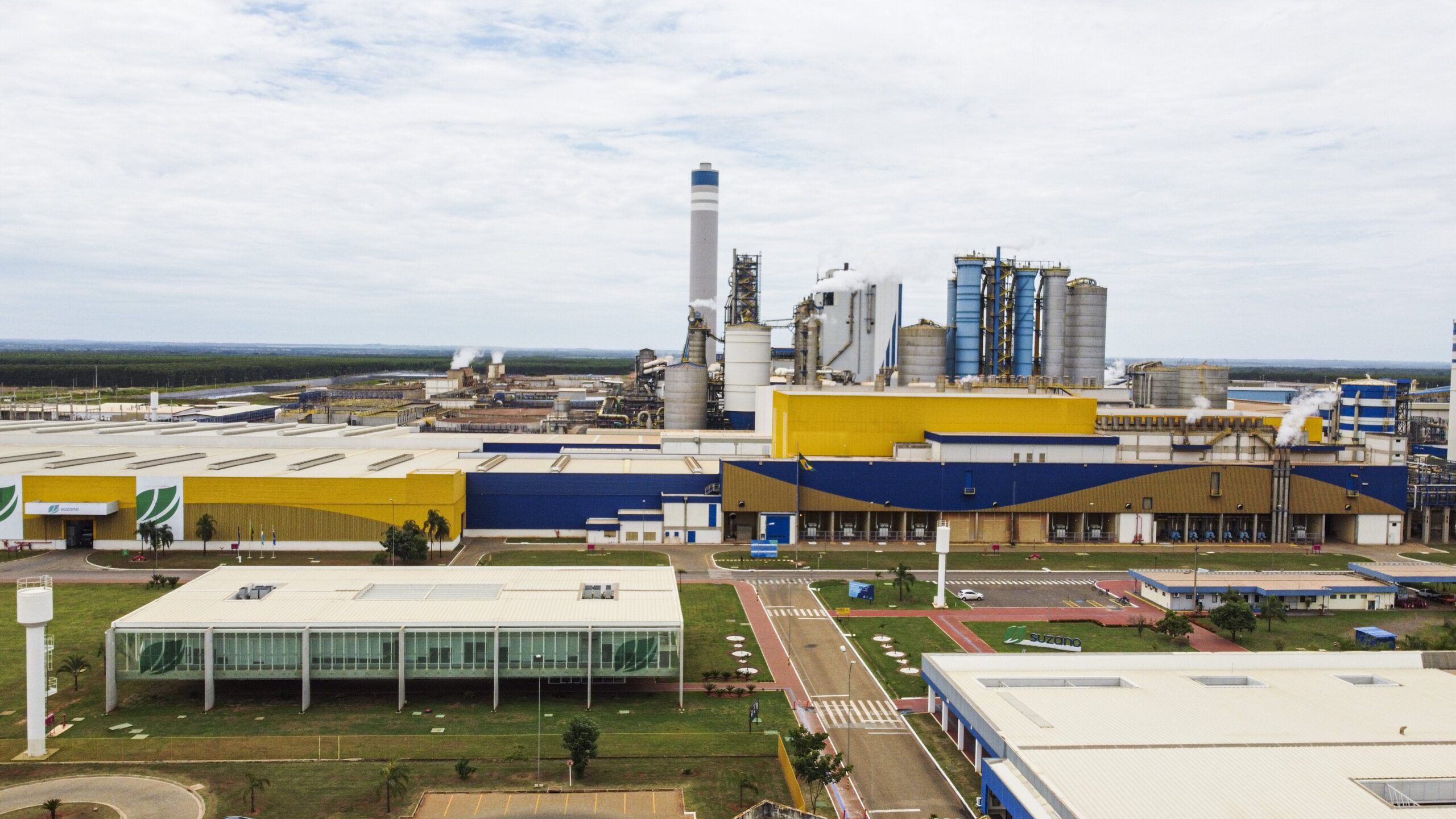 Suzano Starts Operation of the World’s Largest Pulp Production ...