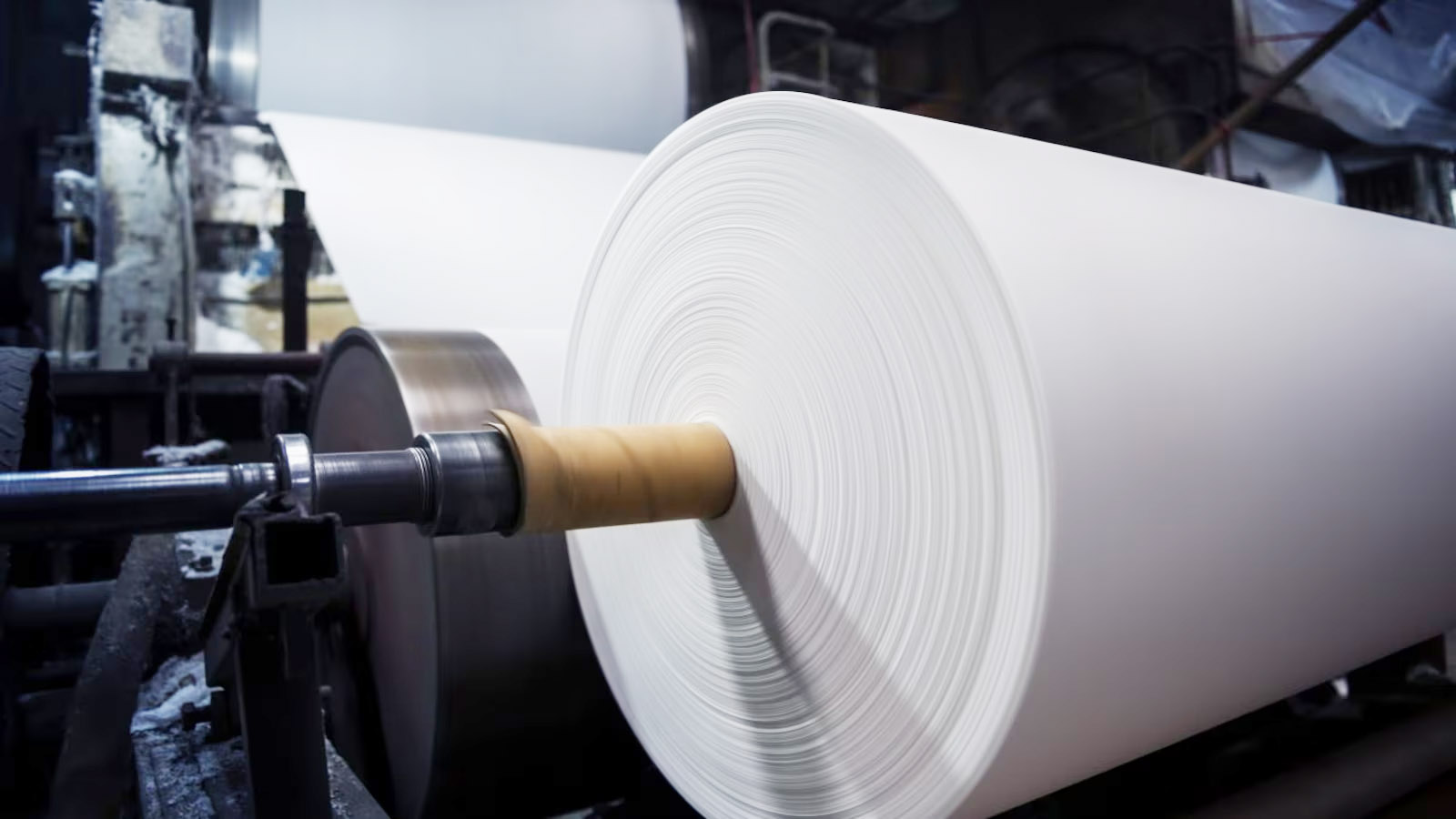 Paper industry body flags below-cost imports, demands ...